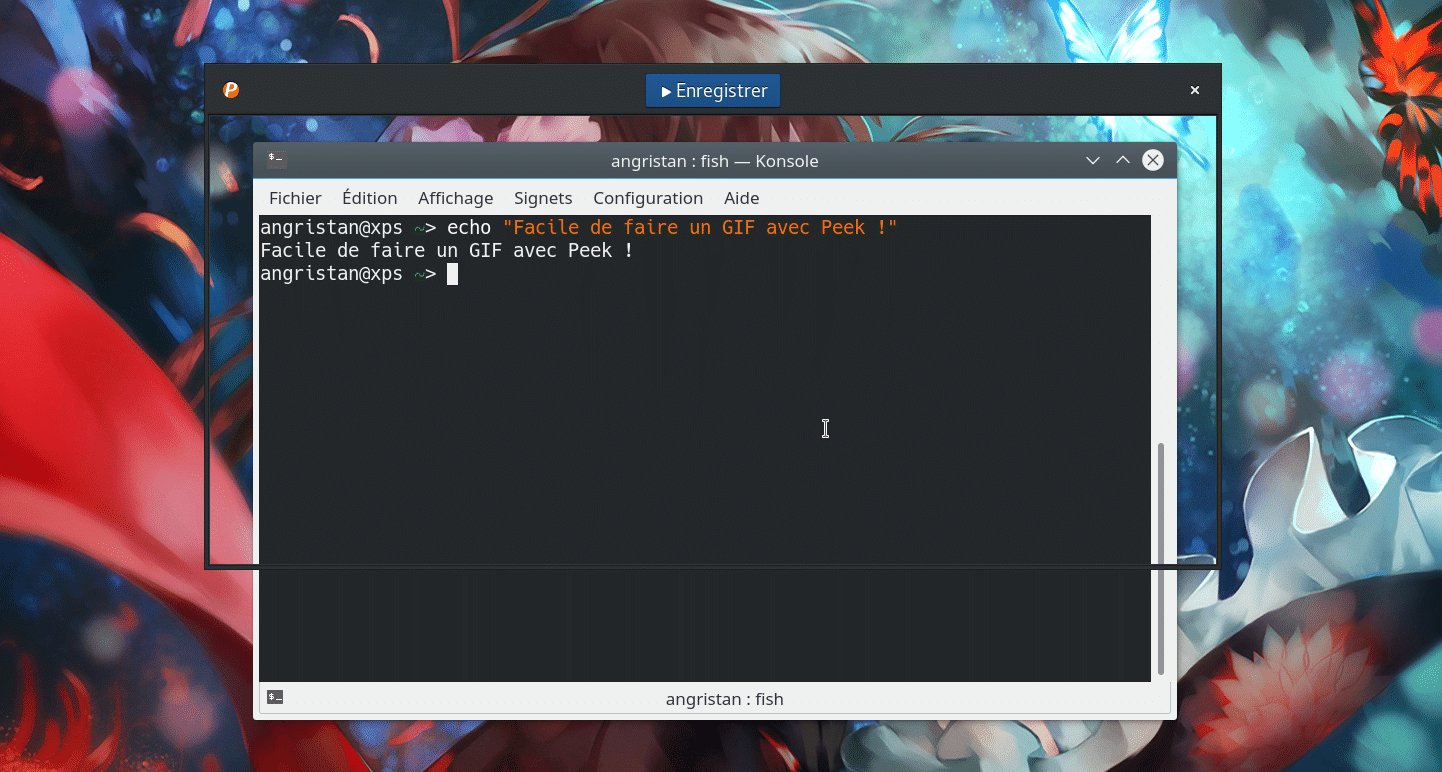 Peek : enregistrer des GIF simplement sous Linux - Angristan